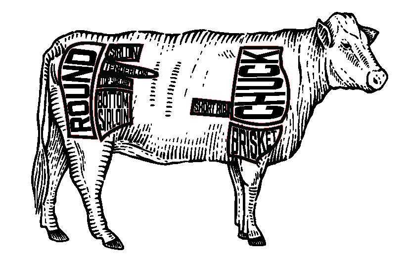 Steer Outline with Copy – Schweid & Sons